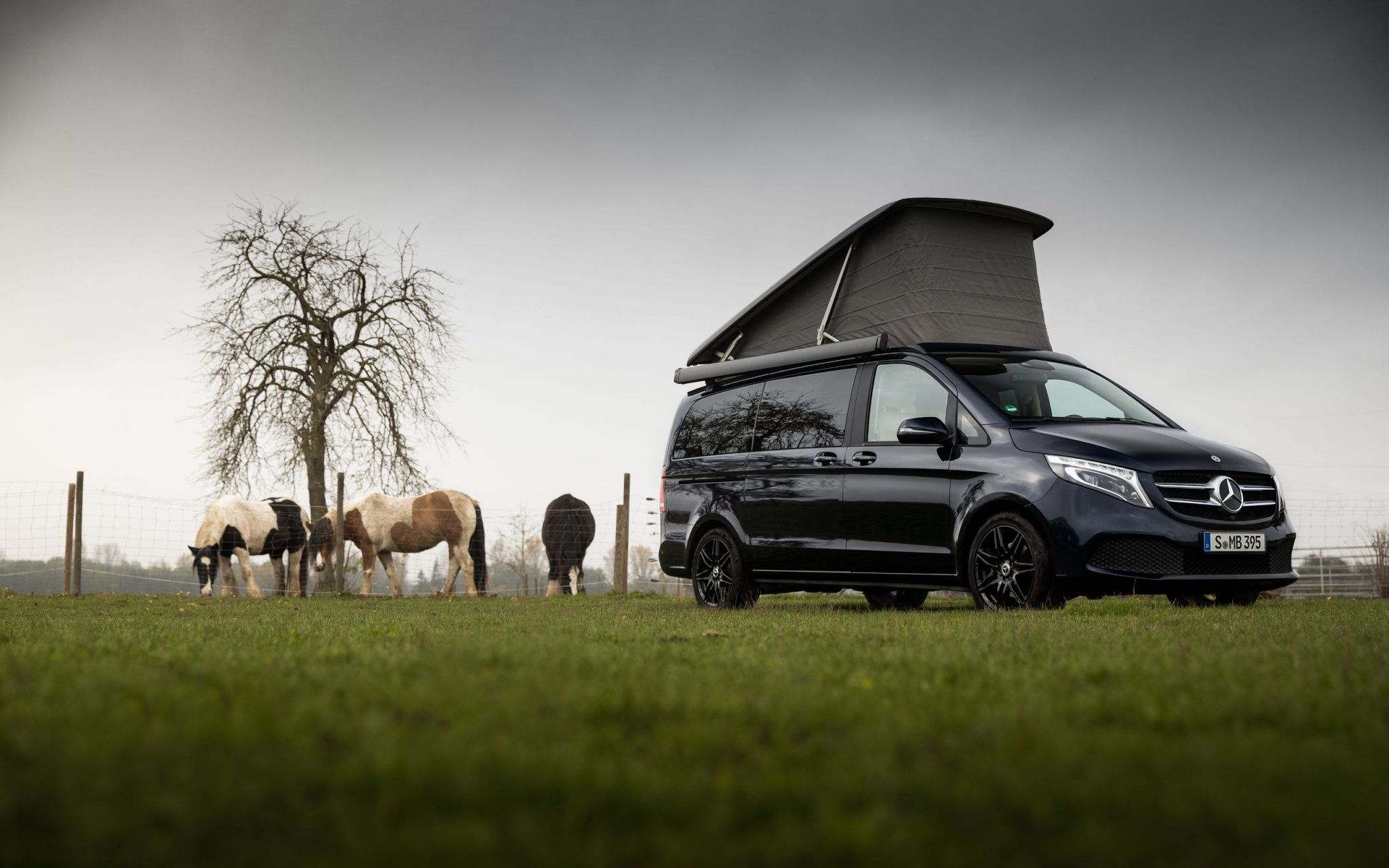 Mercedes Marco Polo, entrez dans l’histoire des roadtrips ⋆ Esprit ...
